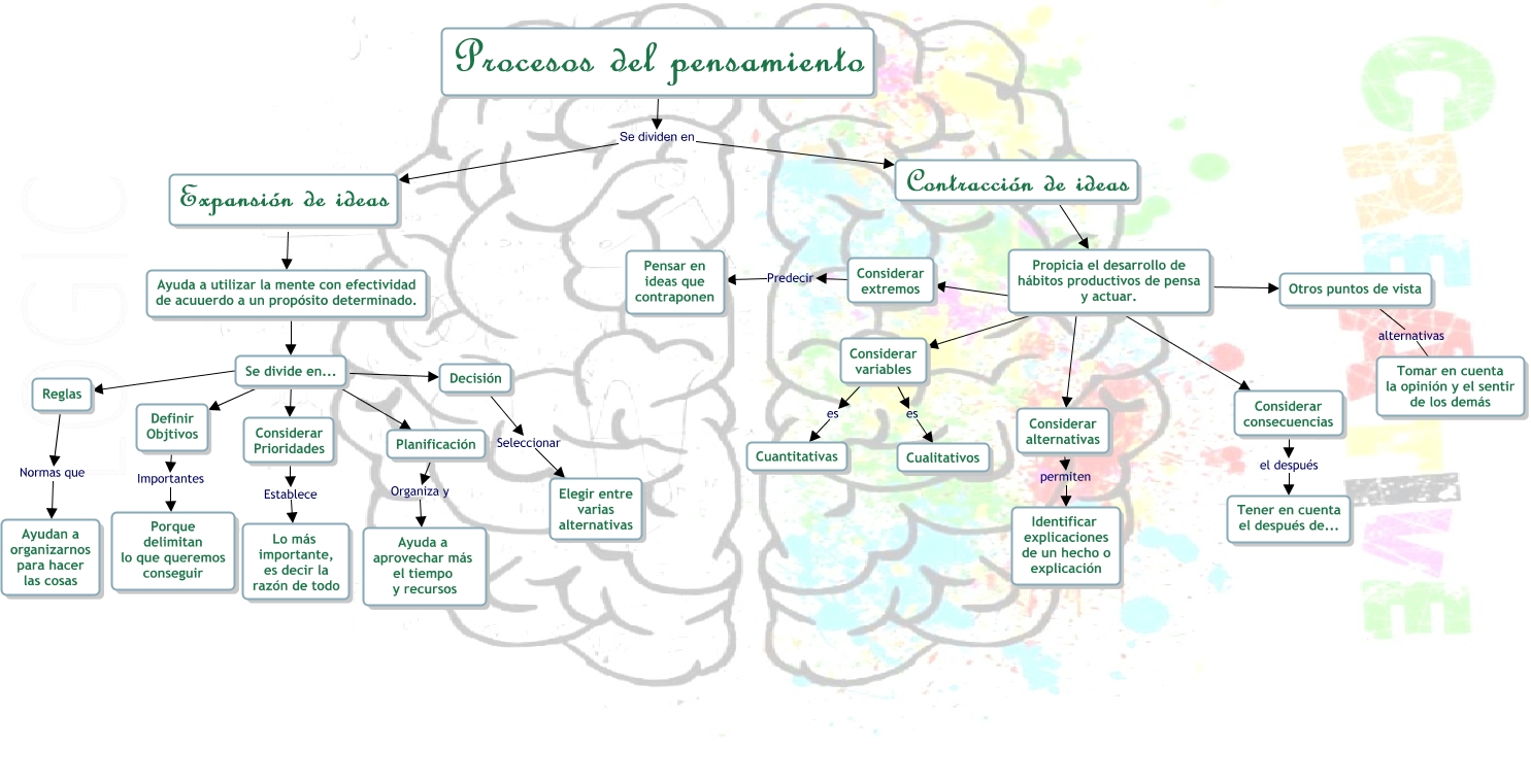 Procesos del pensamiento